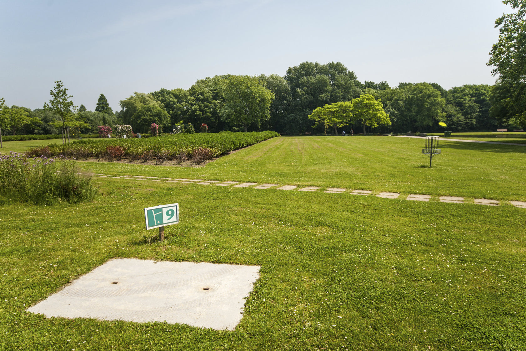 5 Reasons Why You Should Play Disc Golf — D-town Disc Golf
